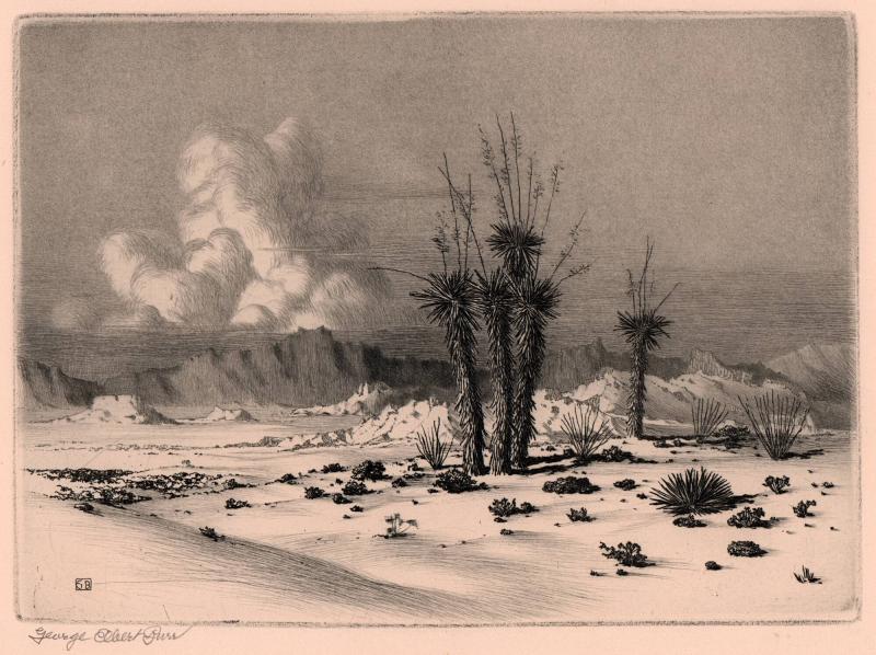 Evening Arizona – Works – eMuseum